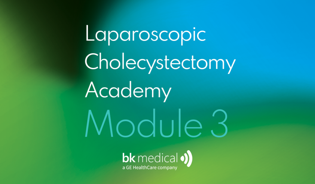Module 3: Basics of Intraoperative Ultrasound | BK Medical